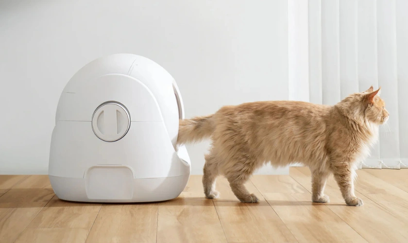 CATLINK Scooper SE BayMax Automatic Litter Box